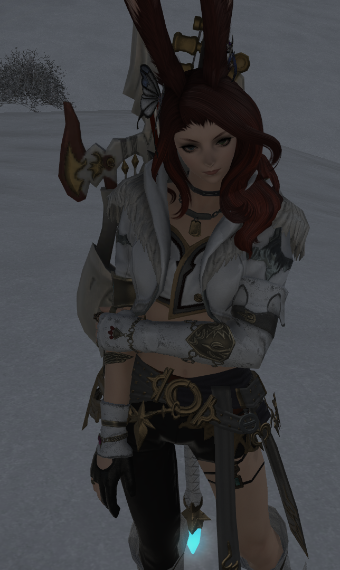 Snow Hunter v.2 | Eorzea Collection