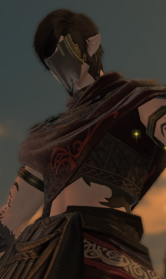 Absolver-Inspired Monk | Eorzea Collection