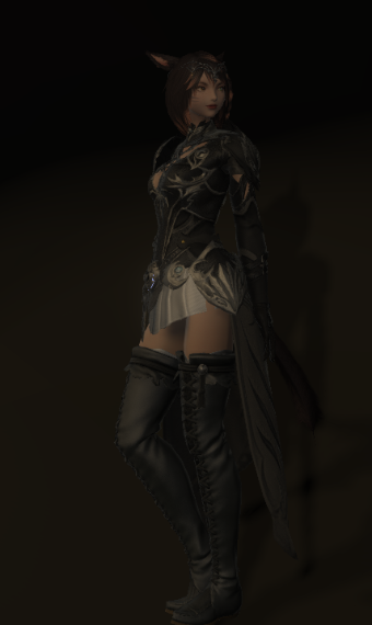 Black and Silver Protector | Eorzea Collection