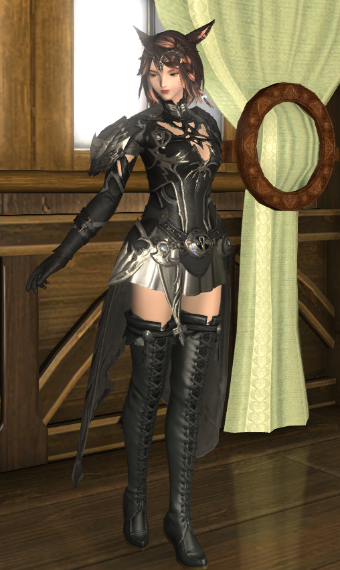 Black and Silver Protector | Eorzea Collection