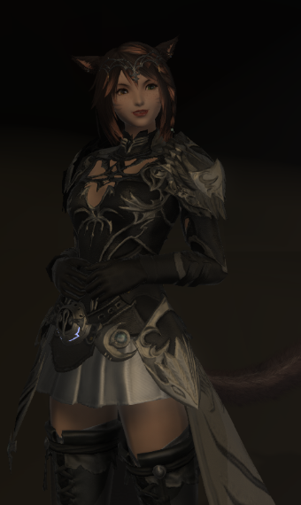 Black and Silver Protector | Eorzea Collection