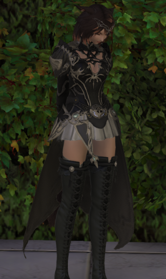 Black and Silver Protector | Eorzea Collection