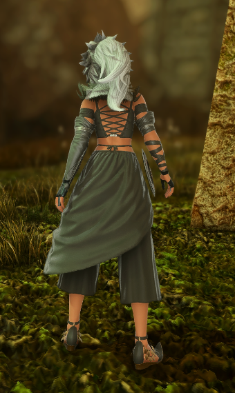 Canis lupus | Eorzea Collection