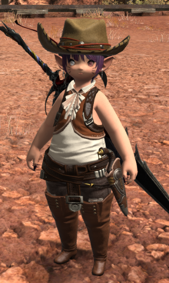 Cowboy glam! | Eorzea Collection