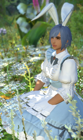 Overdone Alice in Wonderland (Cosplay) | Eorzea Collection