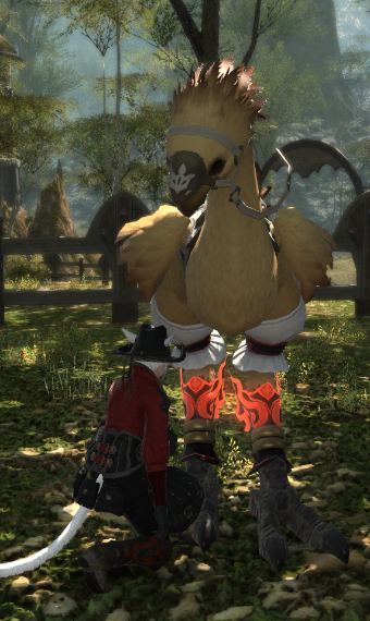 Red Chocobo Racer | Eorzea Collection