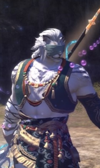 Near Eastern Seer | Eorzea Collection