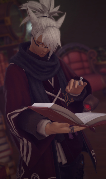 Well-Learned Traveler | Eorzea Collection