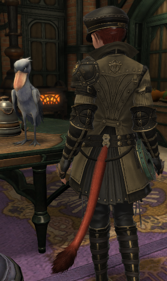 WTH Is With The Shoebill | Eorzea Collection