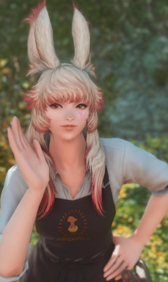 Waiter | Eorzea Collection