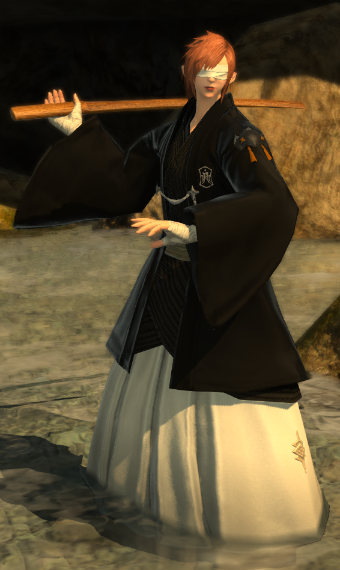 The blind samurai | Eorzea Collection