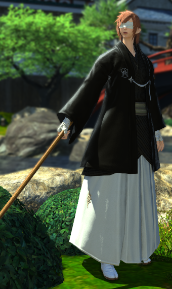 The blind samurai | Eorzea Collection