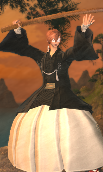 The blind samurai | Eorzea Collection