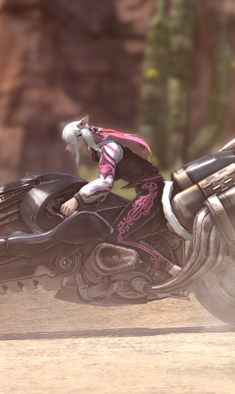 Black Pink Rider | Eorzea Collection