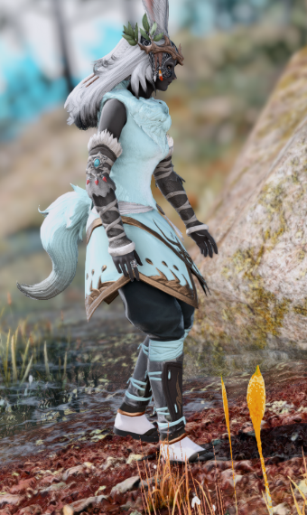 the fox druid | Eorzea Collection