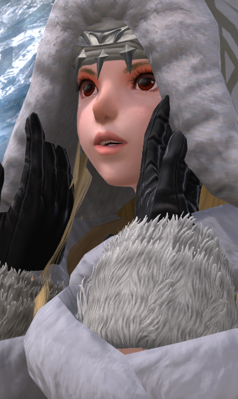 Cold Venture | Eorzea Collection