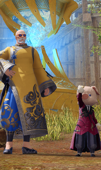 Master Roshi | Eorzea Collection