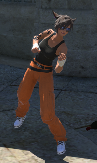 Street Brawler | Eorzea Collection