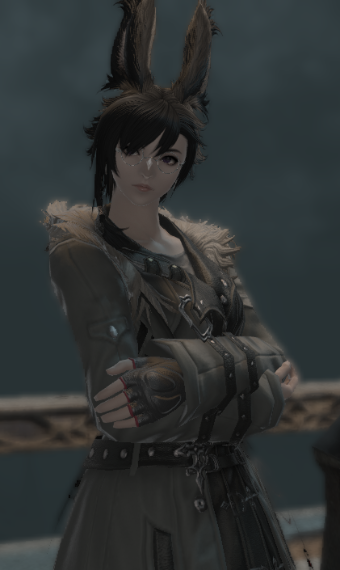 Rebel coat | Eorzea Collection