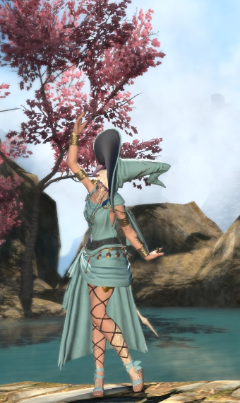 Destiny Reader | Eorzea Collection