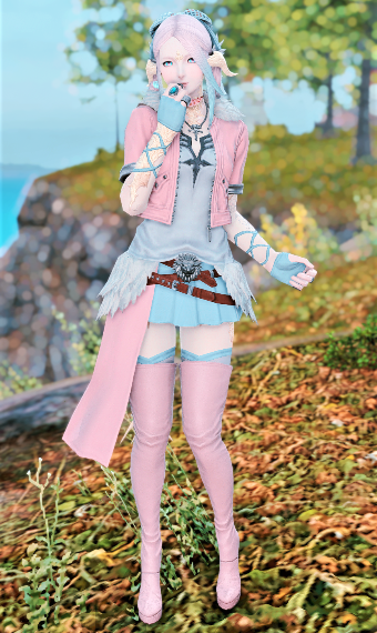 Leonheart Mini | Eorzea Collection