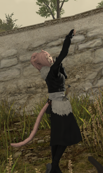 Stylish Rogue | Eorzea Collection