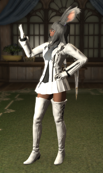 Sagacious V | Eorzea Collection