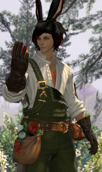 Barely Competent Botanist | Eorzea Collection