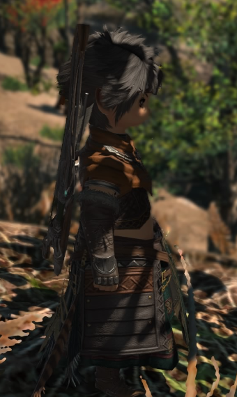 Wood Elf Eorzea Collection
