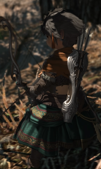 Wood Elf Eorzea Collection