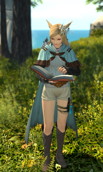 Happy Bookworm | Eorzea Collection
