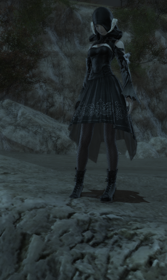 His Fair Assassin | Eorzea Collection