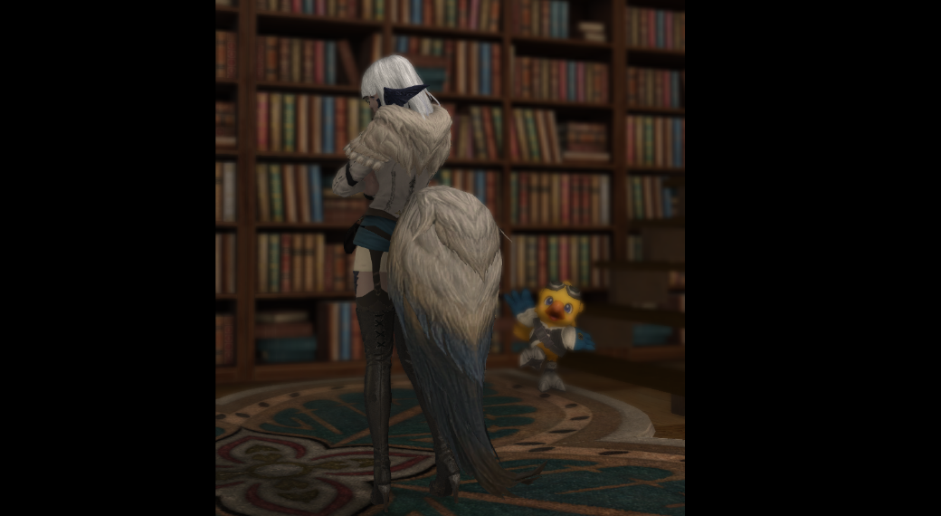 Wolf Librarian | Eorzea Collection