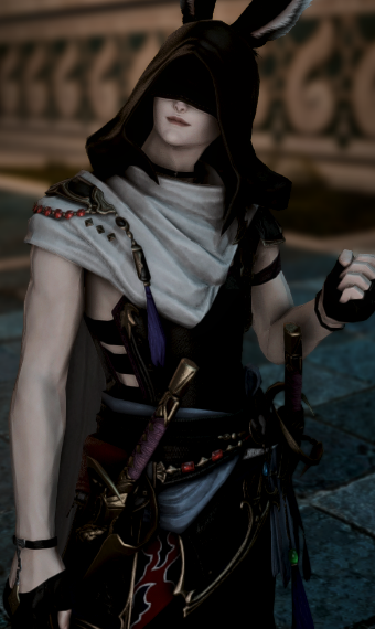 Holy Assasin | Eorzea Collection