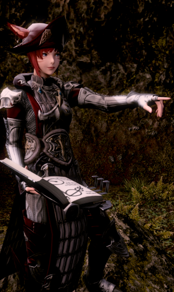 Storm Tactical Command Training Officer | Eorzea Collection