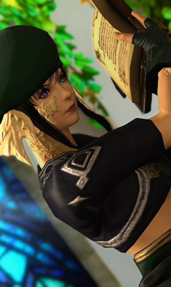 Frontline Medic | Eorzea Collection