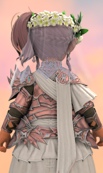 Armor Wedding | Eorzea Collection