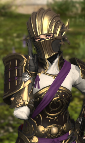 Divine Protector | Eorzea Collection