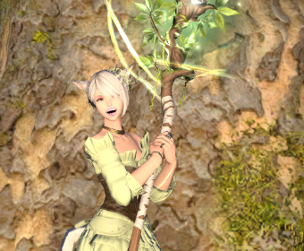 Forest healer | Eorzea Collection