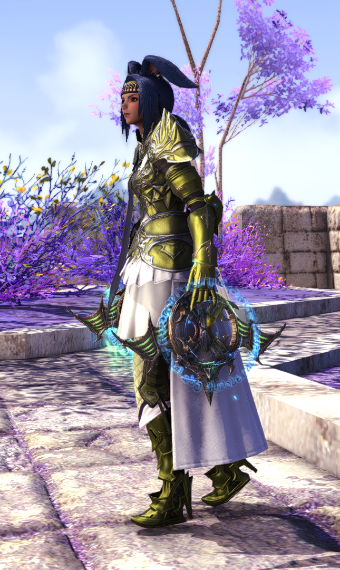 Battledancer | Eorzea Collection