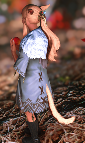 Autumn | Eorzea Collection