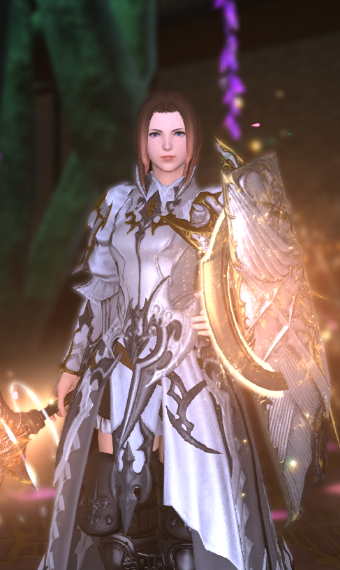 Eden Knight | Eorzea Collection