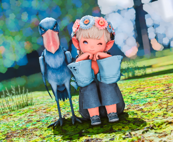 Shoebill. | Eorzea Collection