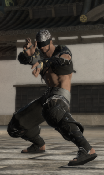 Shadow Highlander | Eorzea Collection