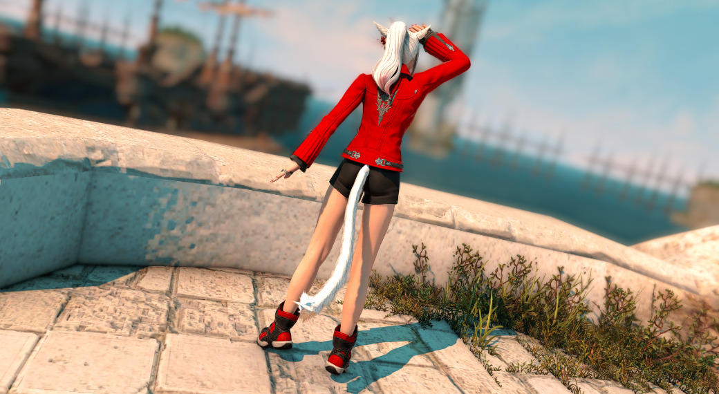 Professional Adventurer | Eorzea Collection