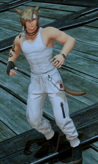 Street Fighter | Eorzea Collection