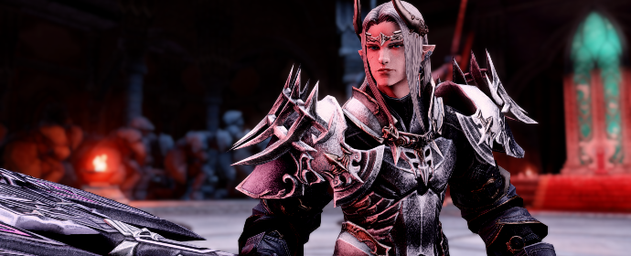 Steward of the Voidgate | Eorzea Collection