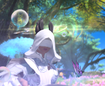 The Fae's Crown Assassin | Eorzea Collection