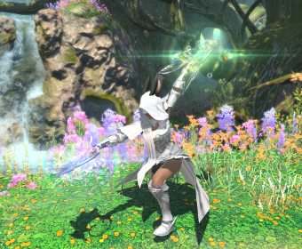 The Fae's Crown Assassin | Eorzea Collection