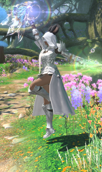 The Fae's Crown Assassin | Eorzea Collection